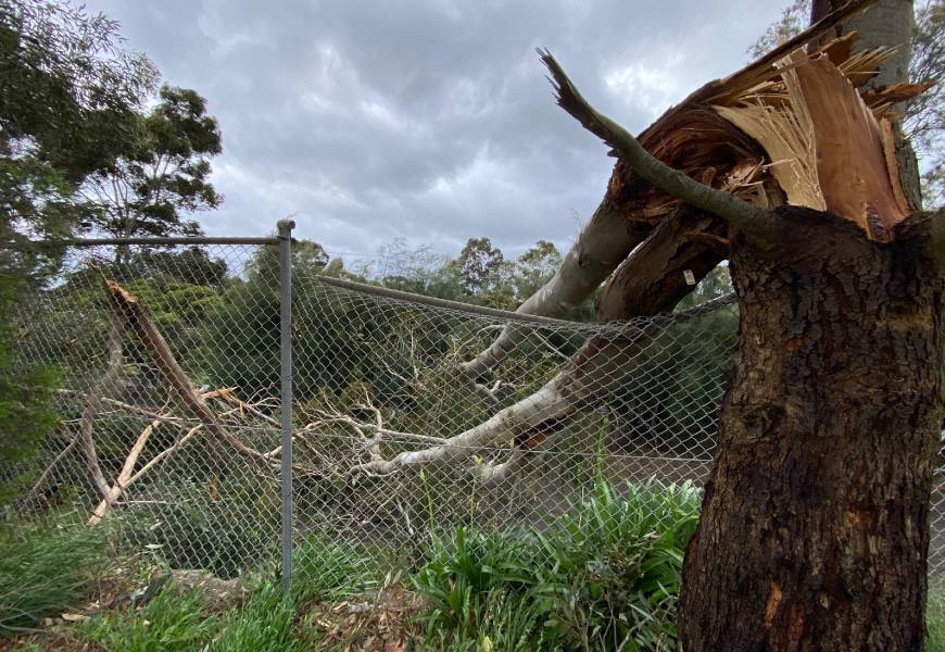 Victorian Storms Update | nbn