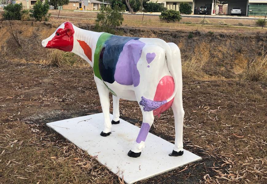 Monto connections are magic | nbn