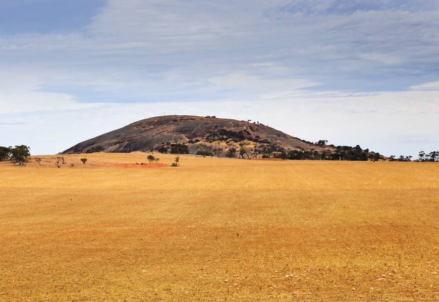 What to expect with the Regional Connectivity Program | nbn