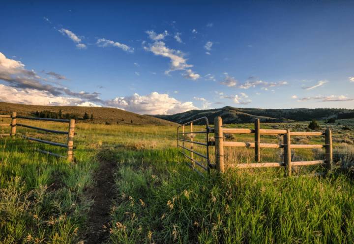 nbn™ access network for regional and remote Australia | nbn