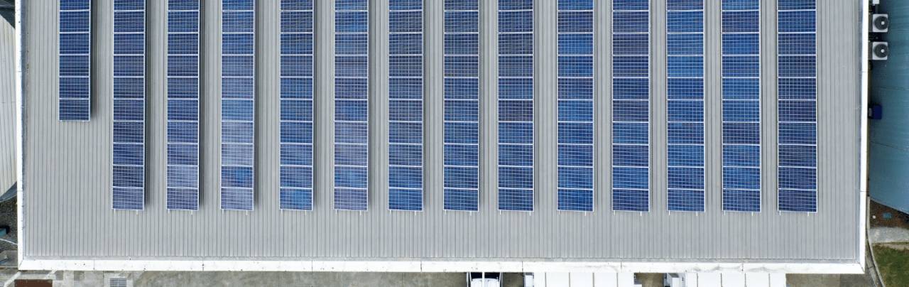 Sustainable finance as a lever for positive impact | nbn