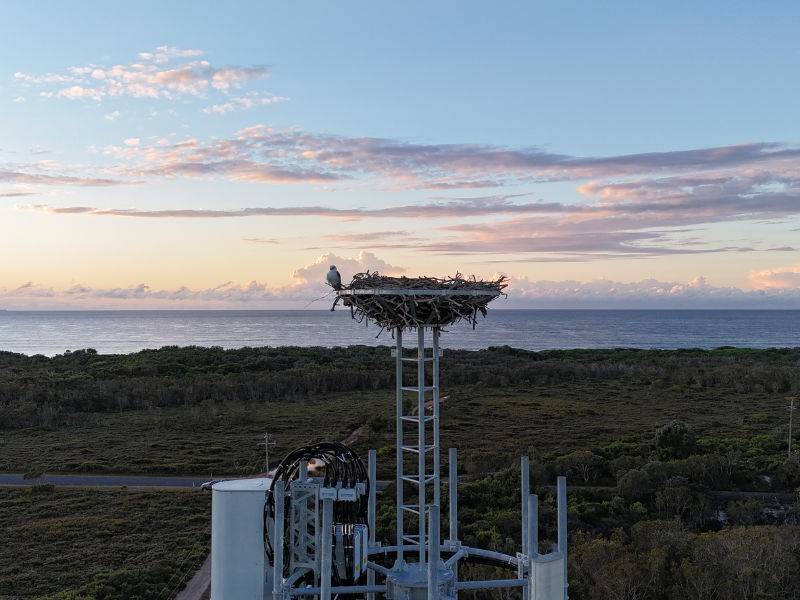 nbn Fixed Wireless towers boast new bird’s eye views | nbn