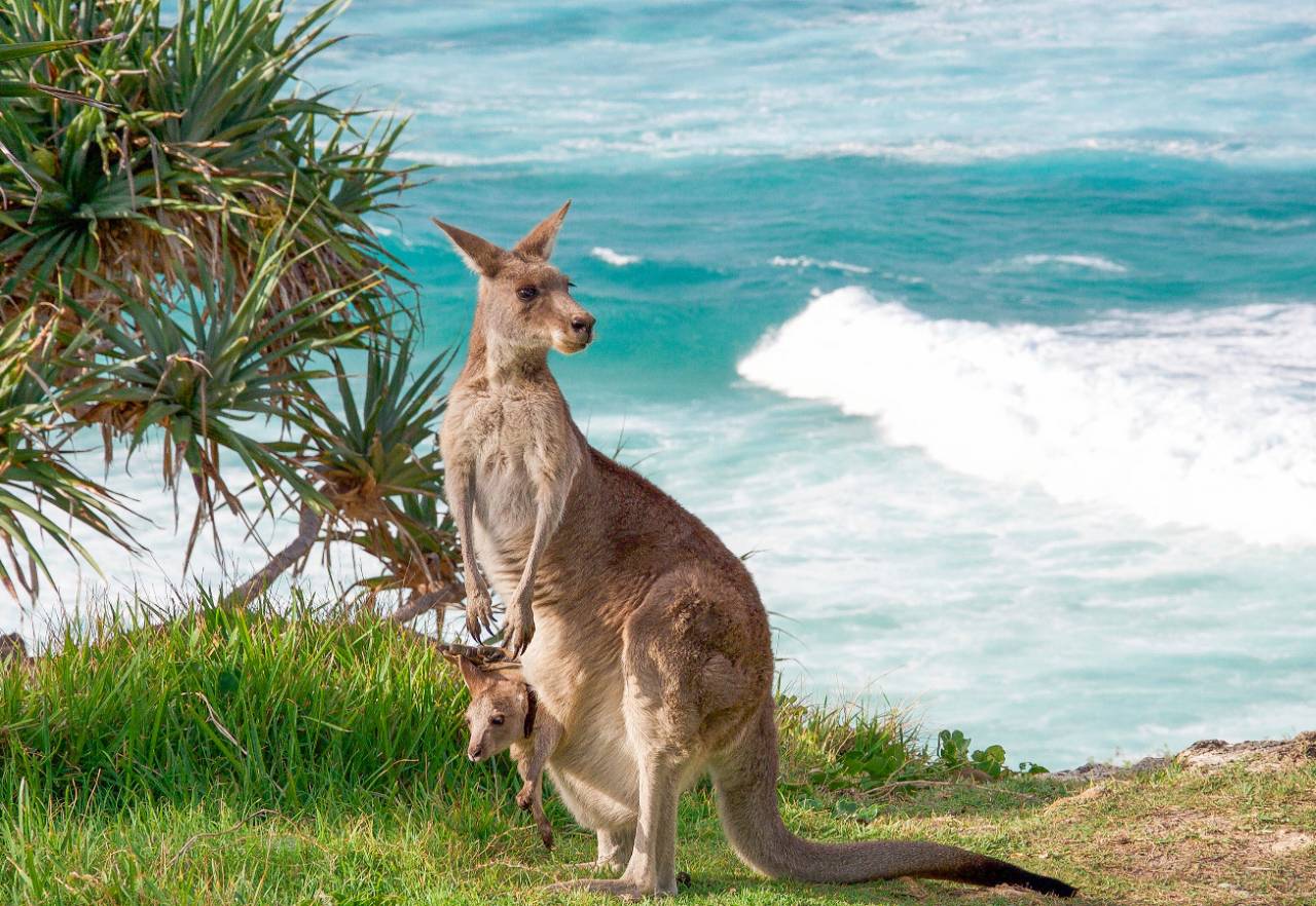 Treasured islands: connecting Moreton Bay Islands | nbn