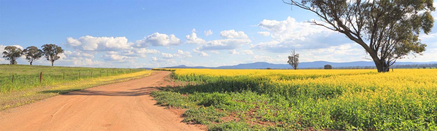 Mustering up the fleet | nbn
