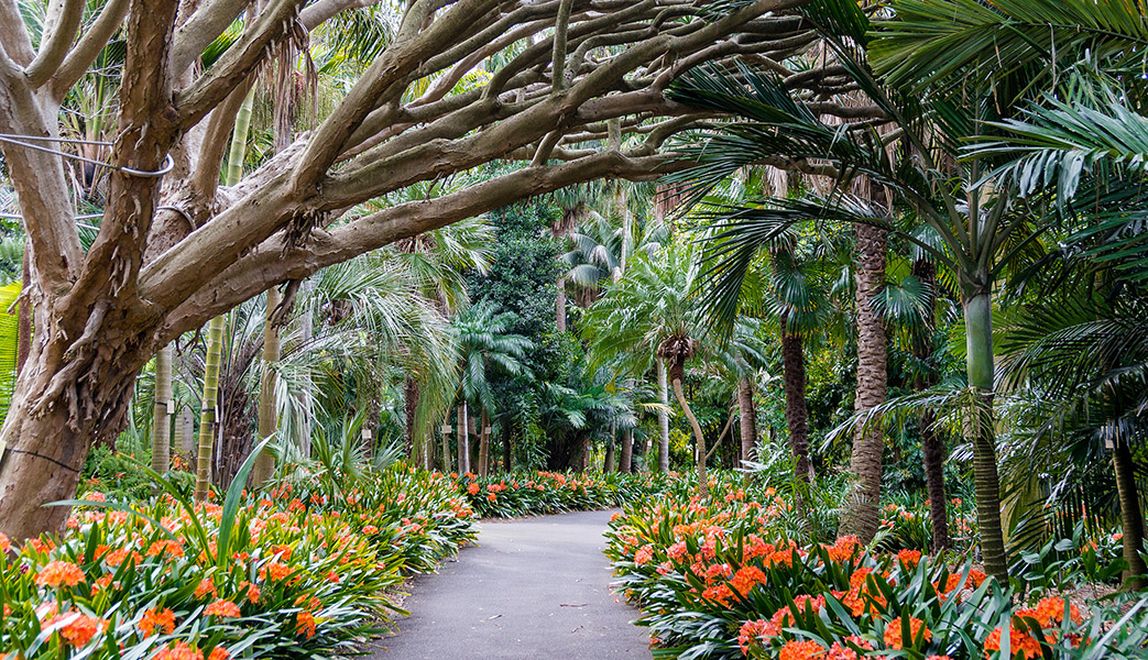 Connecting Sydney's Royal Botanic Gardens | nbn - Australia's broadband ...