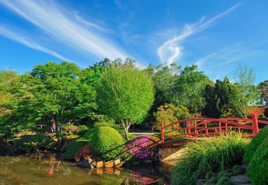 Toowoomba in the tranquil treetops | nbn
