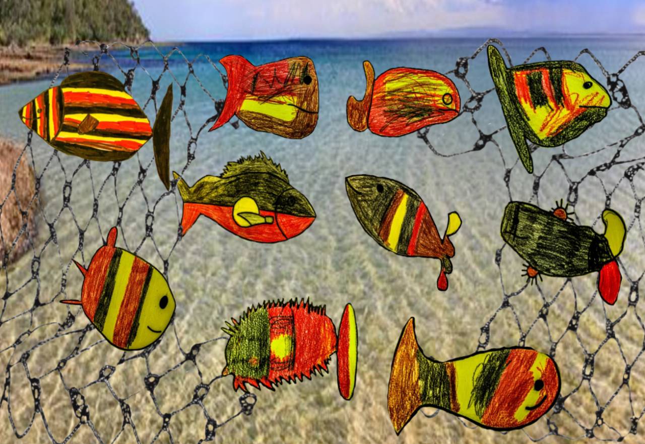 Connecting isolated Wreck Bay | nbn